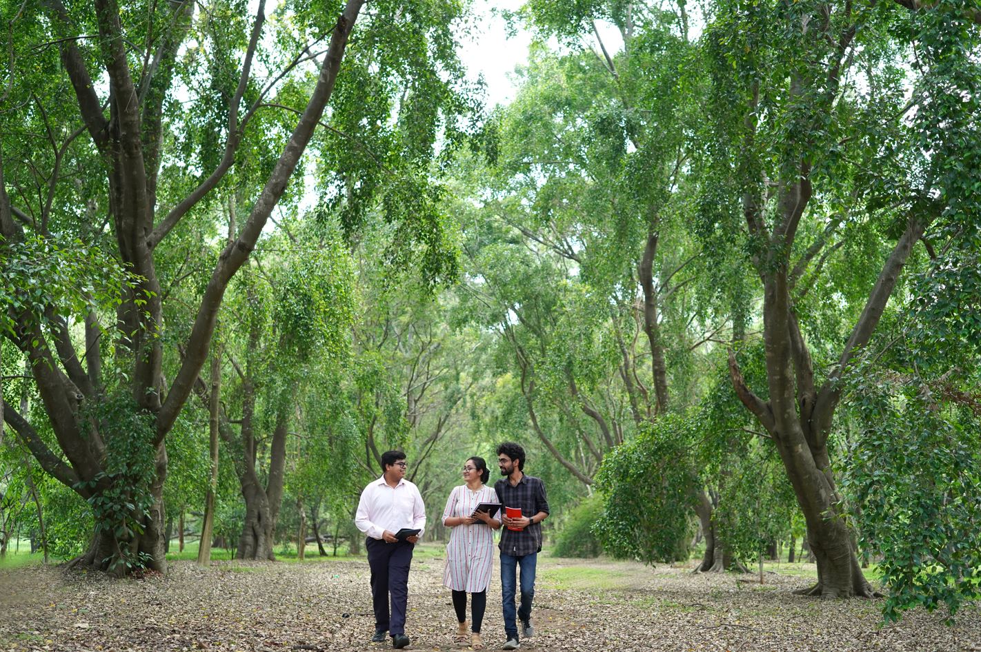 Gallery – iisceespell